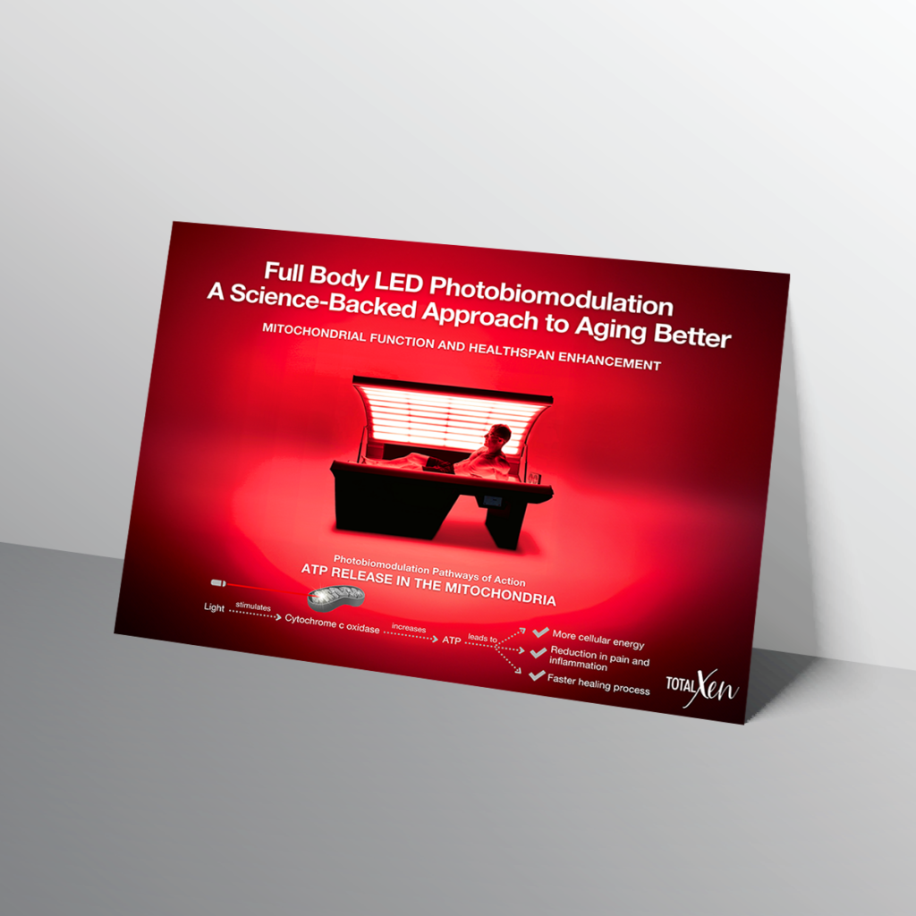 Total Xen A4 Counter / Strut Card - Aesthetic Bureau